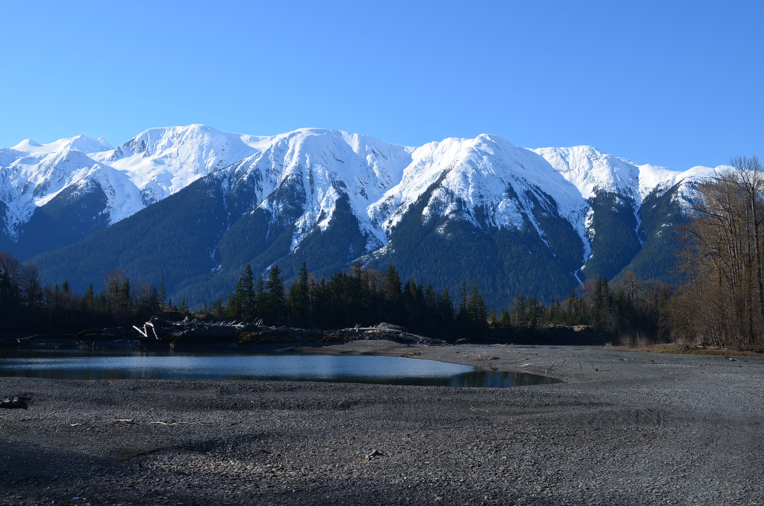 Spring on the Wild Nass River with the Golden Retriever - Sailing+Leisure