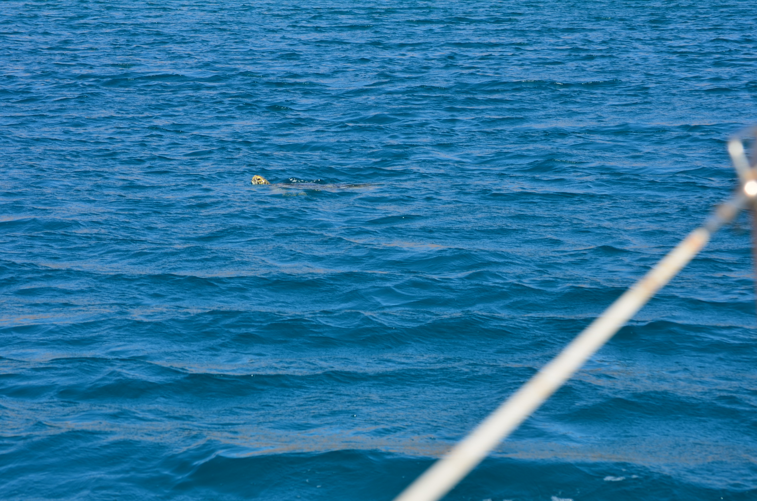 Anchorage in Sea of Cortez | Isla Partida – Isla Espíritu Santo ...