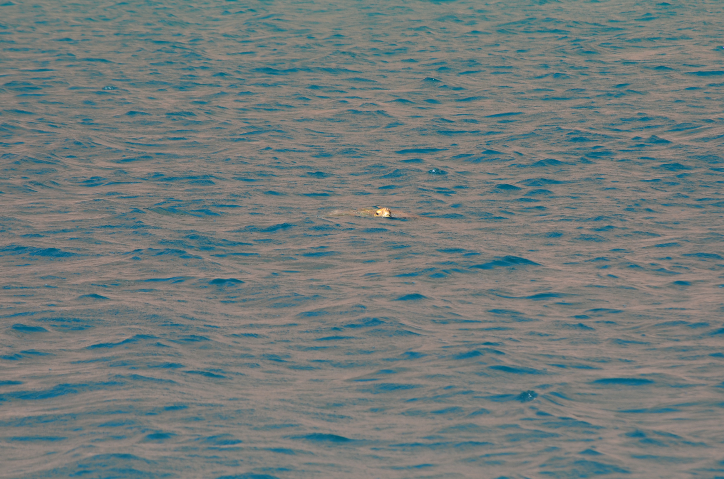 Anchorage in Sea of Cortez | Isla Partida – Isla Espíritu Santo ...